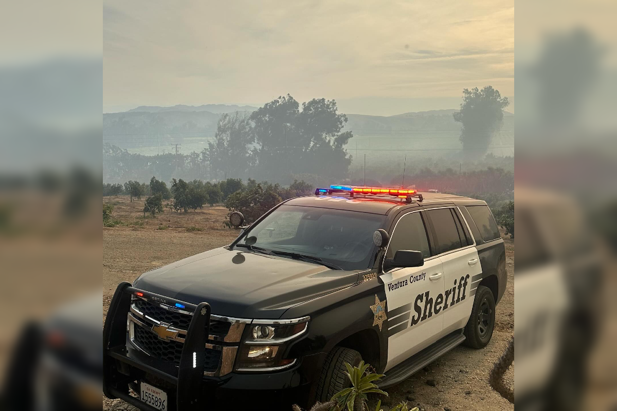 Ventura County Sting Operation Nets 22 Suspects, Seizes Stolen Goods