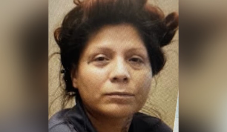 Broward Sheriffs Office Seeks Public Aid To Find Missing Woman From