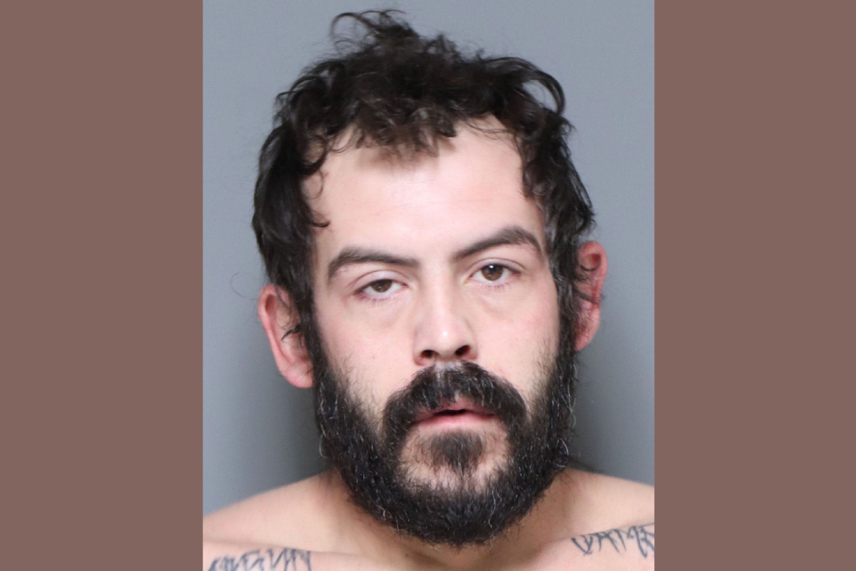 Ferndale Man Charged With Felony Assault and Criminal Sexual Conduct