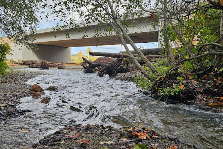 Gig Harbor Gleams with New Fish Passages: WSDOT's Infrastructure
