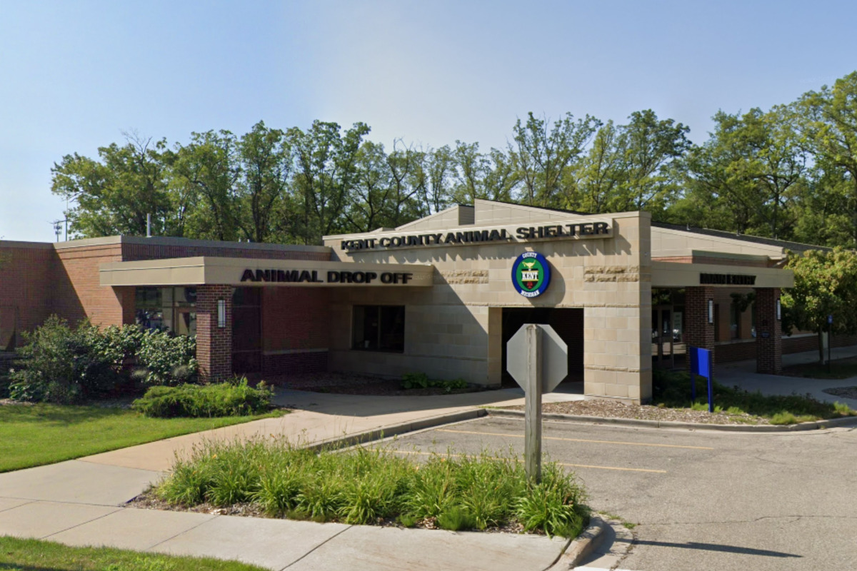 Grand Rapids' Kent County Animal Shelter Relocates Temporarily Amid