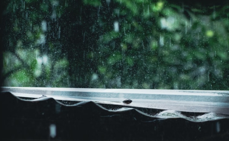 Light Rain and Drizzle Ahead, Seattle Braces for a Classic Cloudy and