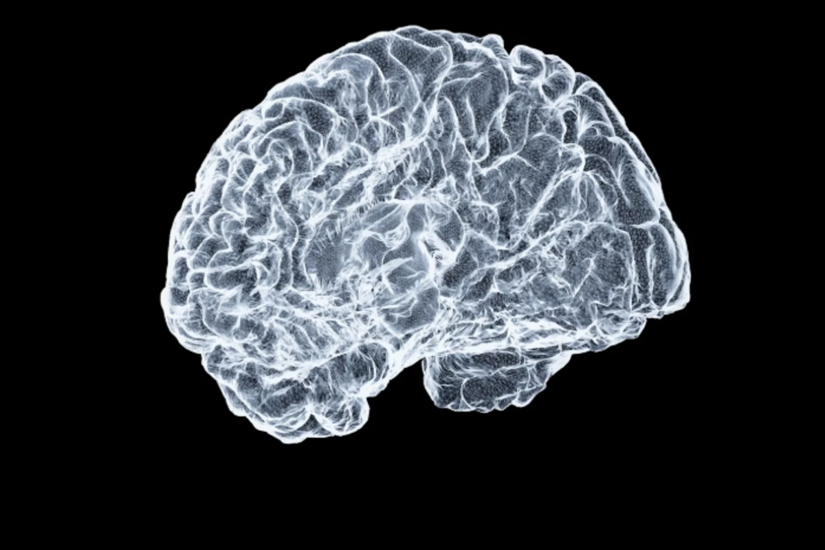 MIT Brainiacs Crack Code of Memory Storage, Placing Memories Mapped in