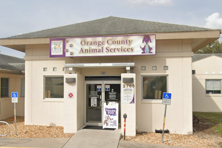 Orange County Animal Services Celebrates Remarkable 89% Live Release