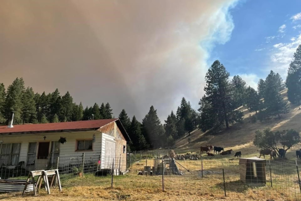 Oregon Secures FEMA Disaster Assistance for 2024 Summer Fires with