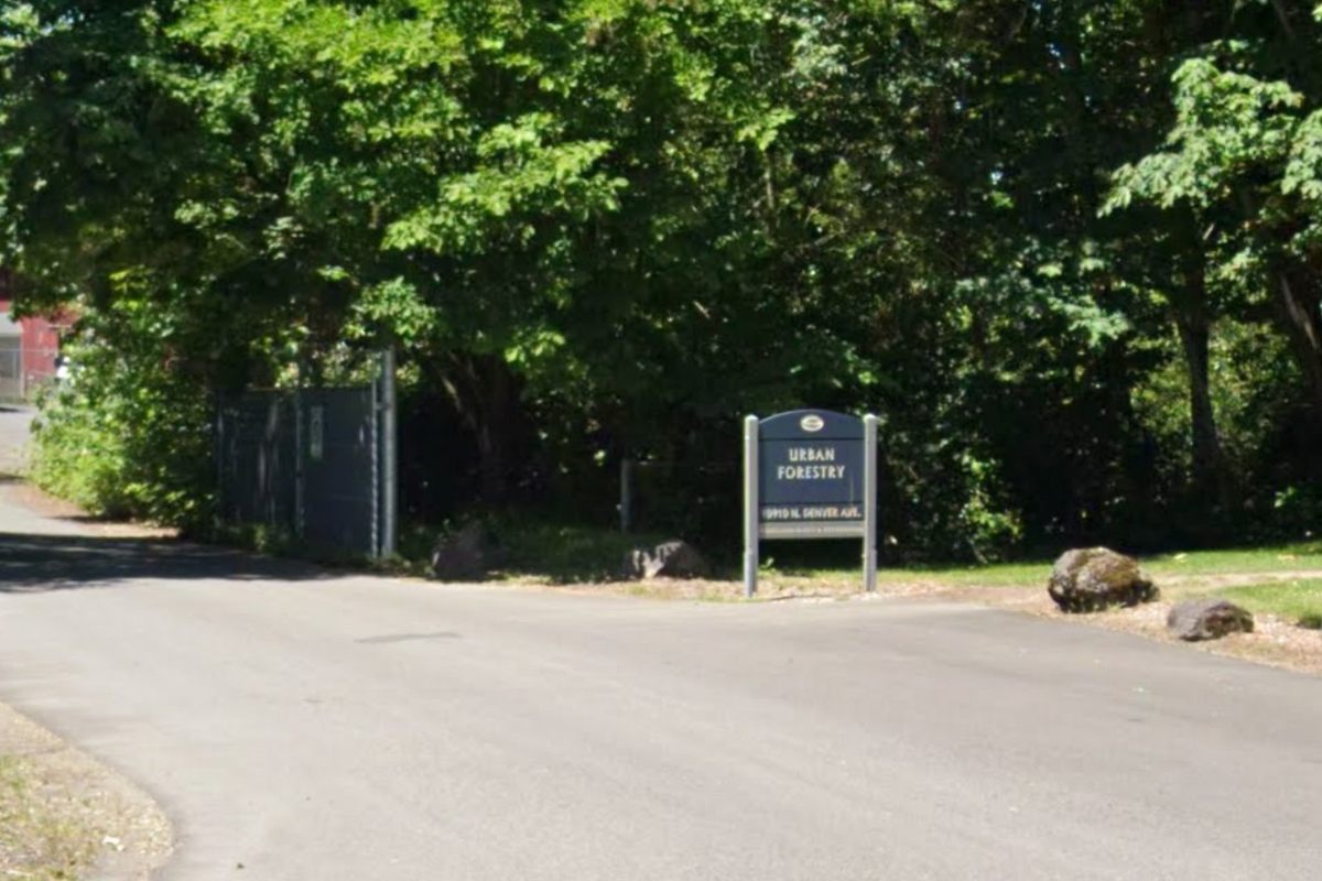 Portland Urban Forestry Launches Streamlined Tree Removal Permit