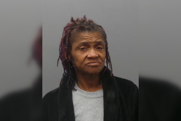 St. Louis County Tragedy as Grandmother Charged in Fatal Shooting of