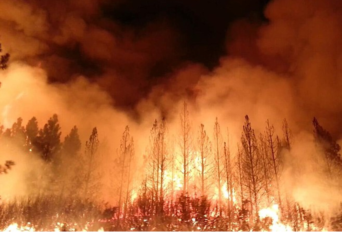 Suspected Arsonist Detained by Residents Amidst Los Angeles' Kenneth