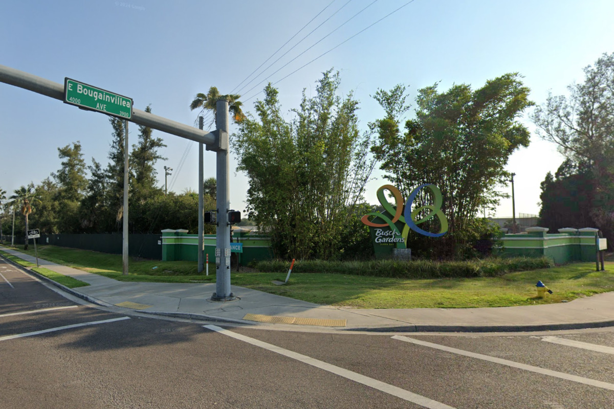 Tampa Intersection Tragedy, One Dead, Several Injured in Multi-Vehicle