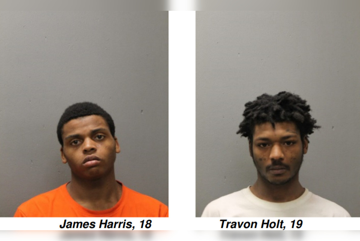 Two Young Men Charged with Felony Robbery on Chicago Train Platform