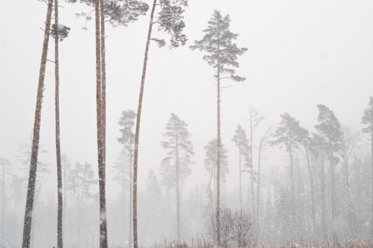 Urgent Cold Weather Alerts Issued for New Orleans and Southern