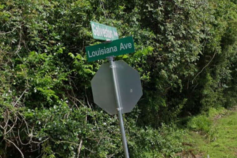 Bacliff Man Fatally Injured in Attack by His Own Dogs, Galveston