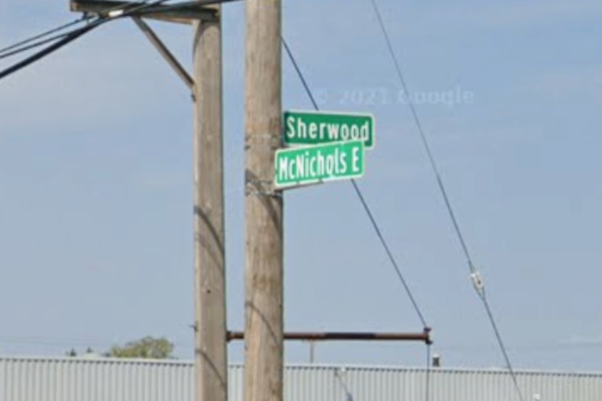 Detroit Woman in Stable Condition After Being Shot by Police During