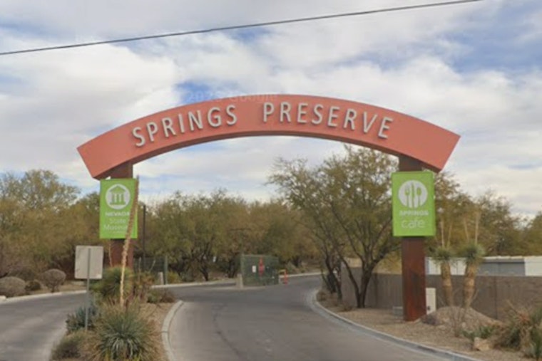 Discover the Wonders of Winged Pollinators at Springs Preserve's