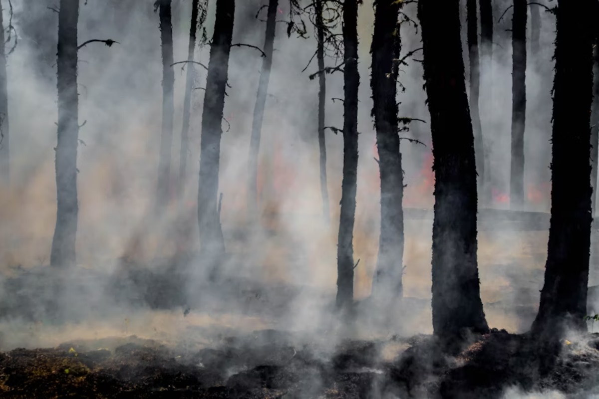 Emergency Crews Tackle Growing Wildfire in Houghton Lake, Michigan