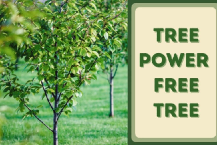 Garland Residents Can Go Green with Free Trees Through Local Energy