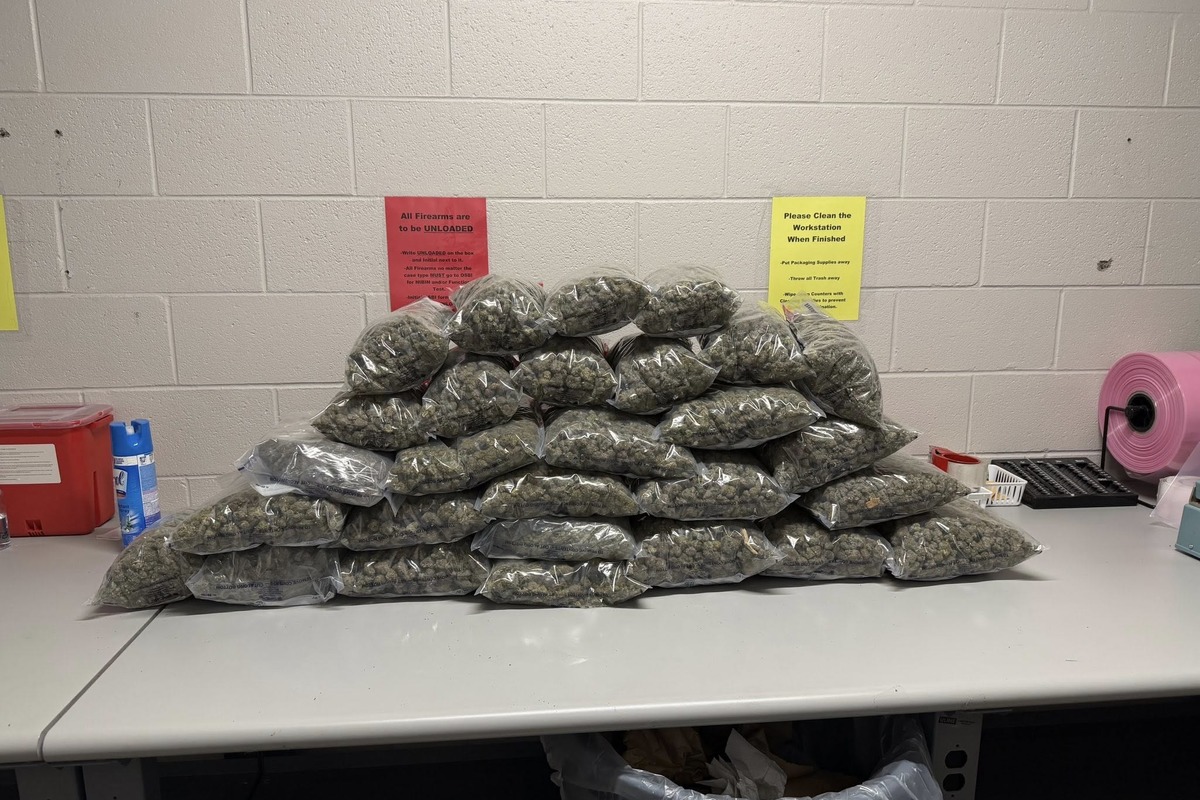 High-Speed Chase Leads to Arrests and 37 Pounds of Marijuana Seized in