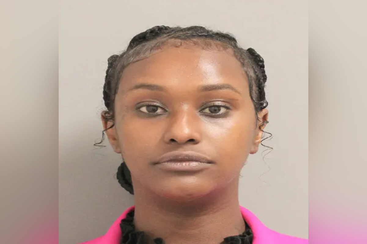 Houston's 'Brick Lady' Sentenced to Probation After Guilty Verdict in