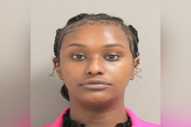 Houston's 'Brick Lady' Sentenced to Probation After Guilty Verdict in