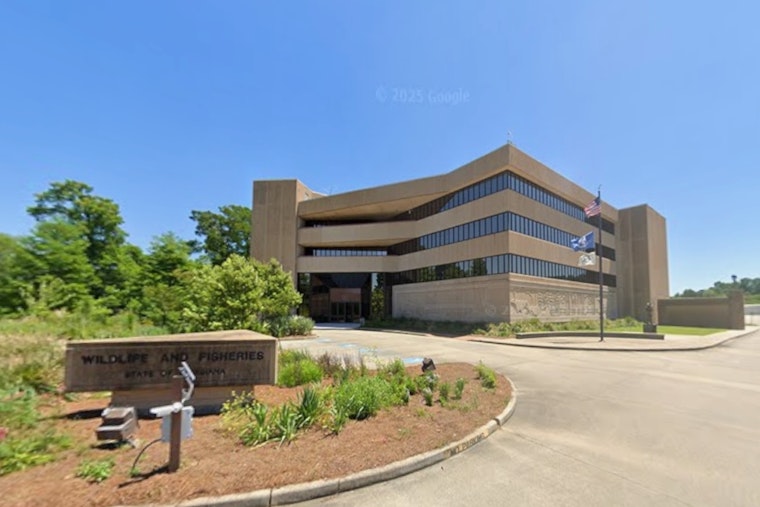 LDWF Issues New Feral Hog Trapping Guidelines in Louisiana CWD Control