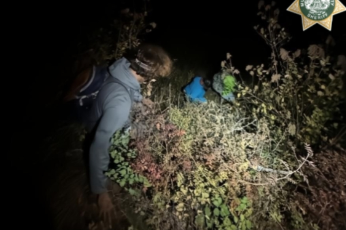 Lost Hikers Rescued by Green Hornets in Columbia River Gorge Overnight