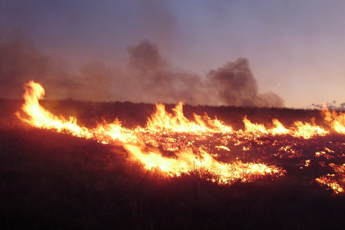 Michigan DNR Urges Fire Safety as Hunting Season and Dry Conditions