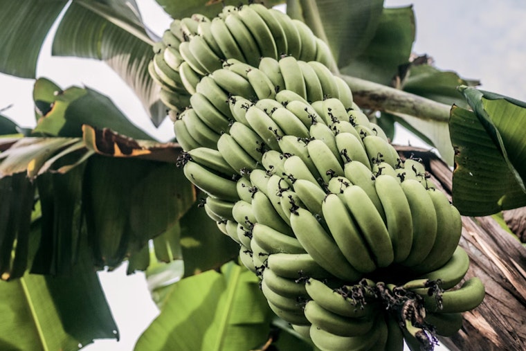 Modesto's Church of the Cross Transforms Deserted Field into Vibrant