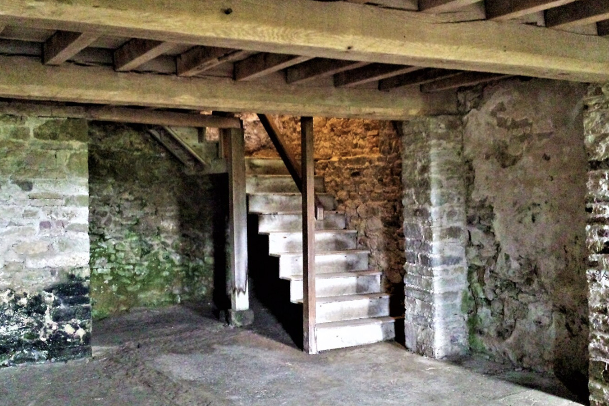 New York City Launches Application for Homeowners to Convert Basements