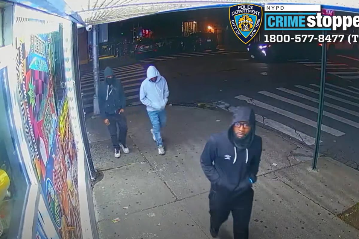 NYPD Seeks Public Help to Nab Suspects in Bronx Violent Robbery Case