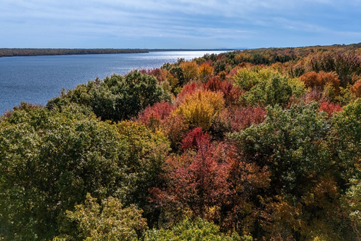 Ohio's Delayed Autumn Blaze: ODNR Reports Vibrant Foliage Now in Full