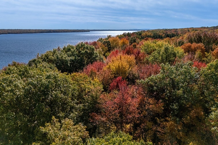Ohio's Delayed Autumn Blaze: ODNR Reports Vibrant Foliage Now in Full