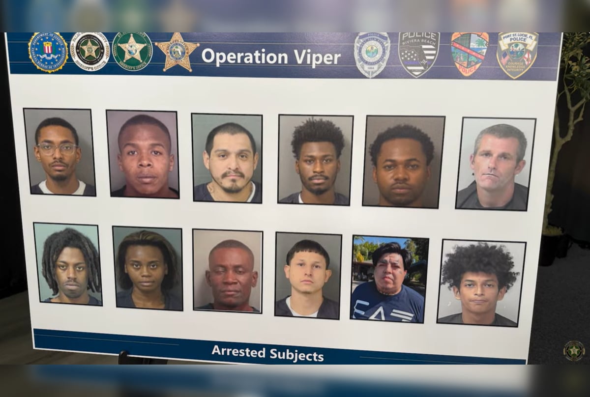 "Operation Viper" Nets 48 Arrests, Seizes Firearms and Drugs in South