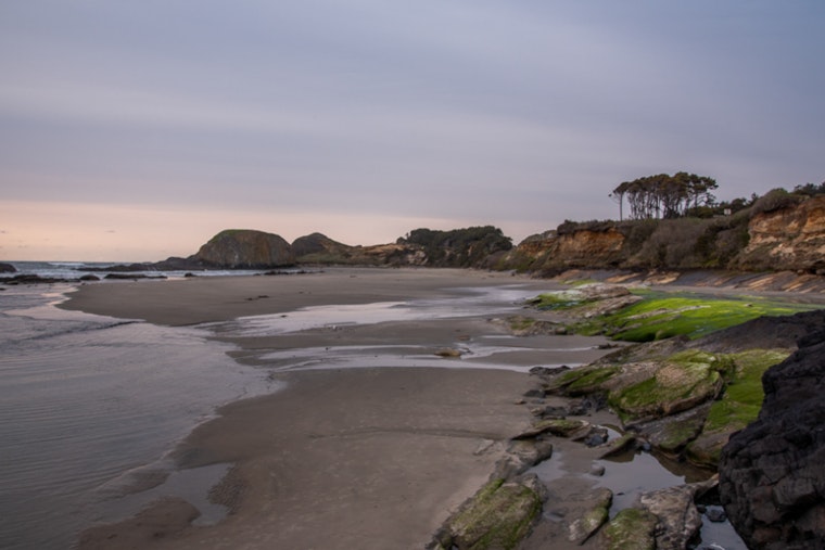 Oregonians at Risk of Food Insecurity as SNAP Benefits Threatened Amid