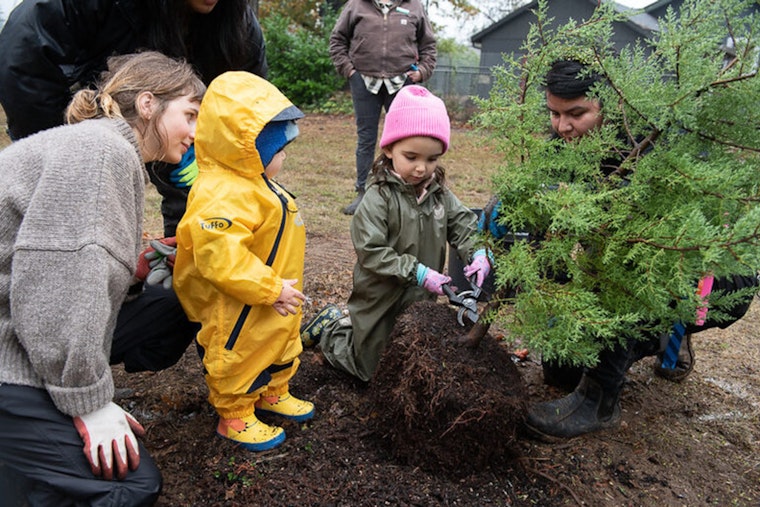Portland City Council Approves New Urban Forest Plan to Enhance Tree