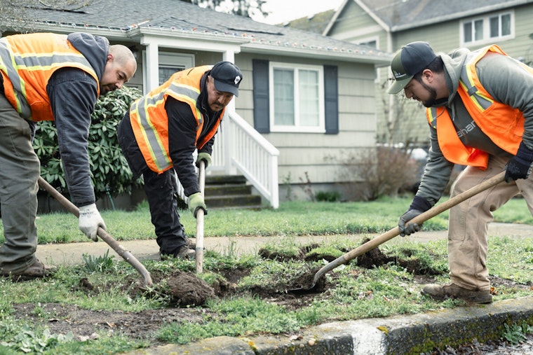 Portland Partners with Local Landscaping Firm to Expand Urban Tree