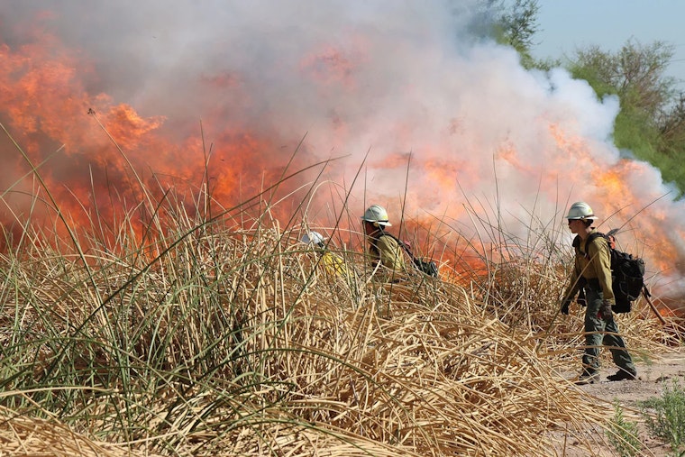 Prescribed Burn at Tres Rios Wetlands Set for October to Manage