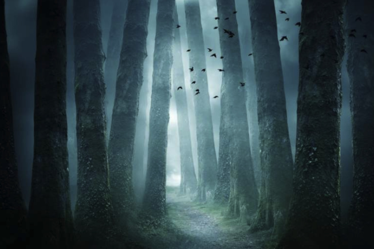 Raleigh's Method Community Park Unveils "Lil Lottie's Nightmare"