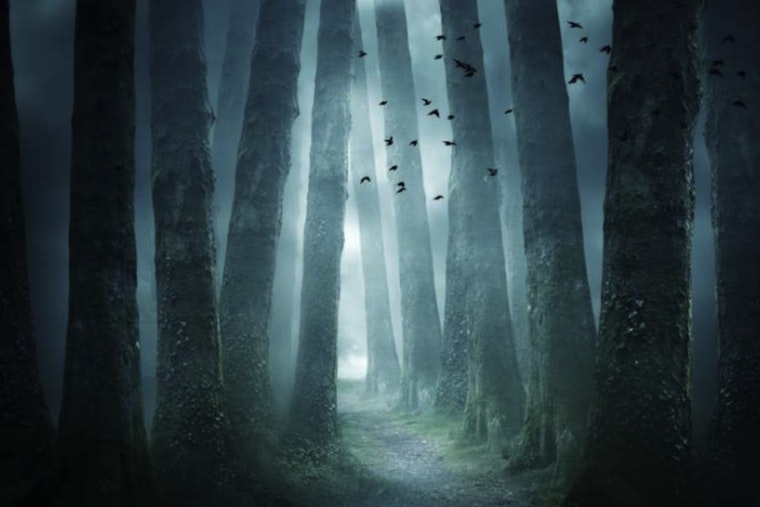 Raleigh's Method Community Park Unveils "Lil Lottie's Nightmare"