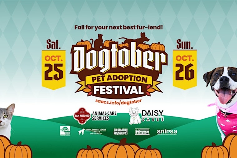 San Antonio's Dogtober Pet Adoption Festival to Unite Pets and People