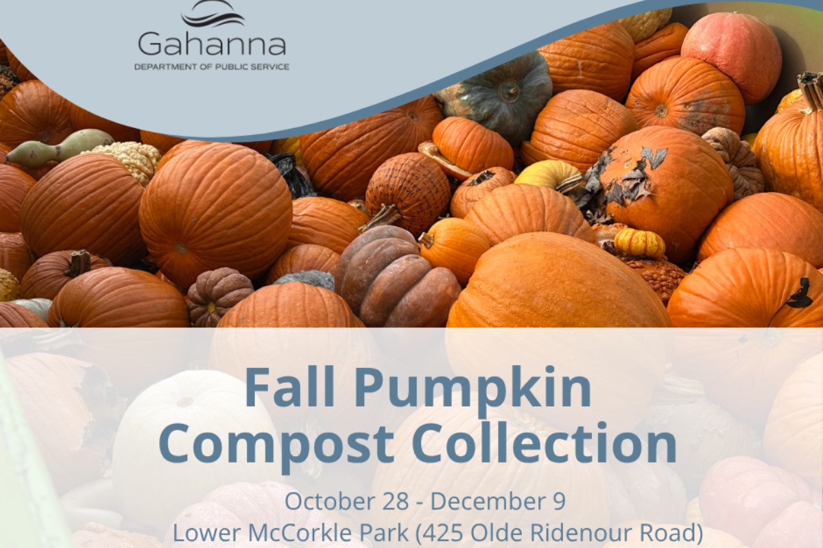 Residents Launches Pumpkin Composting Initiative at Lower McCorkle