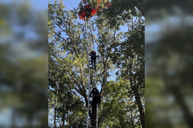 Skydiving Instructor Dies, Student Rescued from Tree After Accident