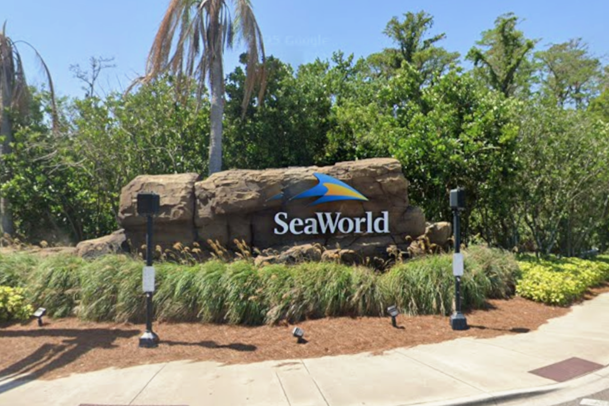 Woman Sues SeaWorld Orlando for Negligence After Duck Strike on Mako