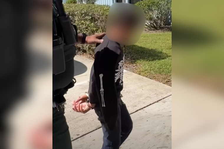 11-Year-Old in Volusia County Charged with Felony for Alleged School