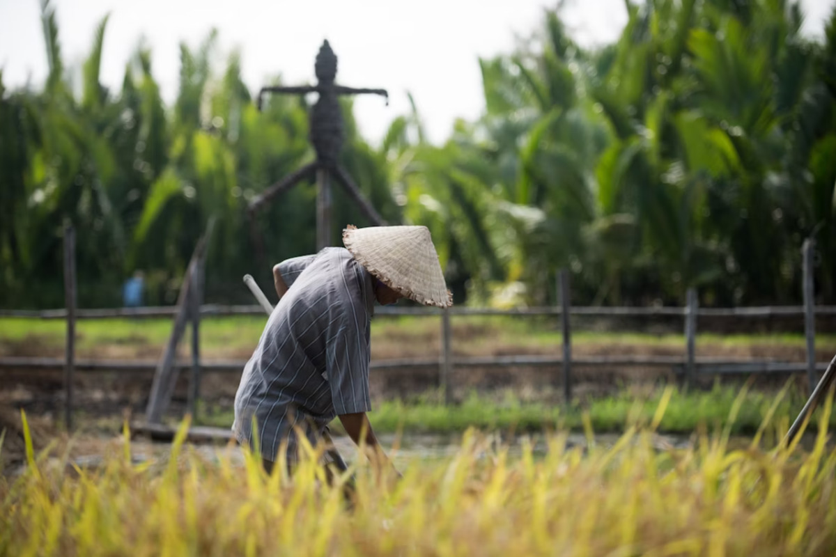 Black Farmers' Heirs Appeal for Right to Inherit Restitution in USDA