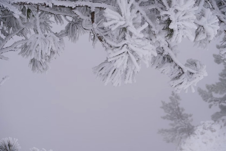 Boston Prepares for Cold Veterans Day with Snow and Strong Winds,