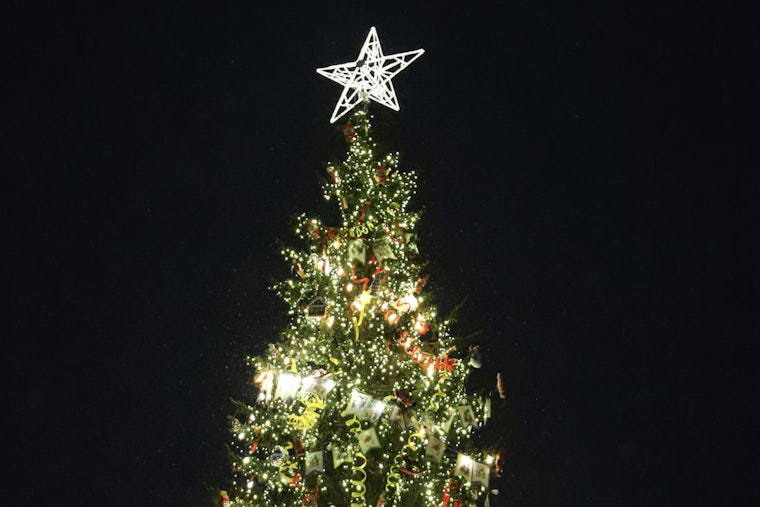 Brooklyn Brightens Up with Festive Tree Lightings and Holiday Events