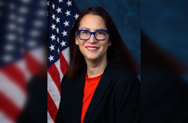 California Rep. Laura Friedman Defends Democratic Stance on Government