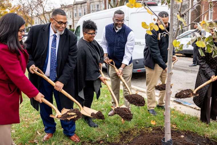 Chicago Nears "Our Roots" Goal with 90% of Tree-Planting Target
