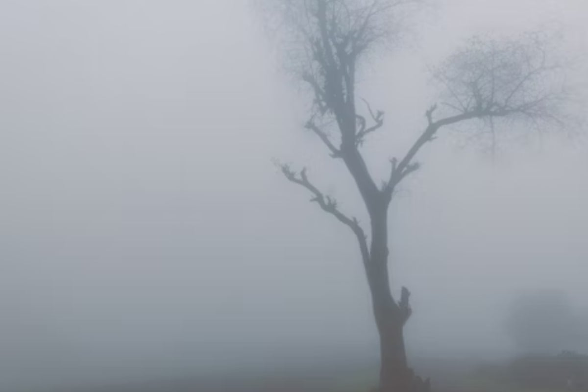 Dense Fog Advisory Issued for Ohio and Kentucky, Drastic Weather