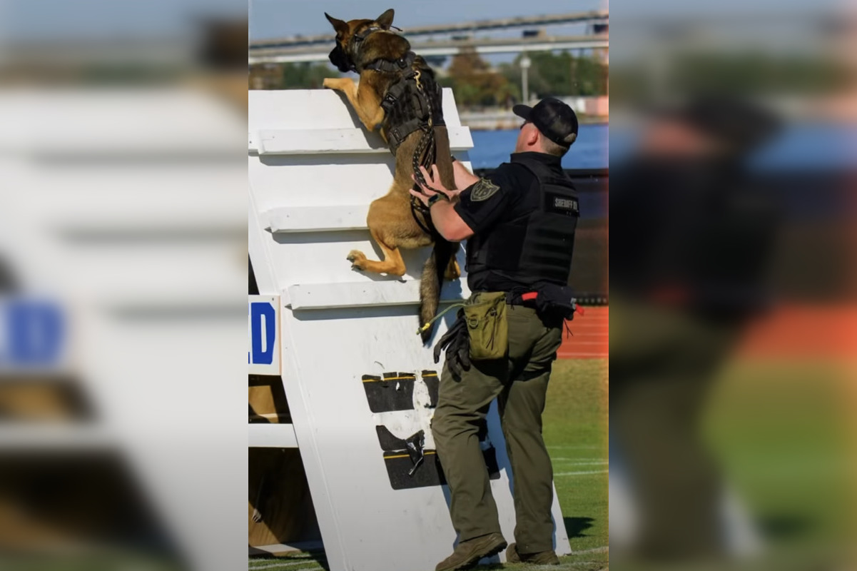 Deputy Adams and K9 Mak Represent Clay County with Pride at